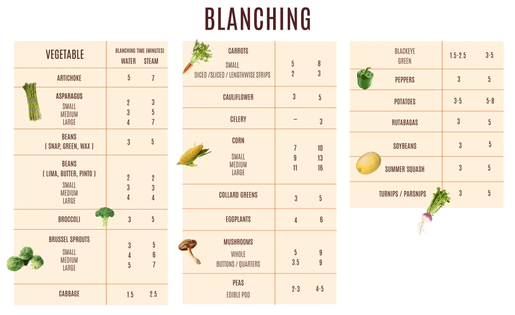 boiling vegetables time