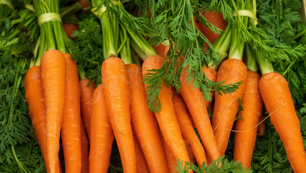 Creative Cooking With The Whole Carrot - We Don't Waste